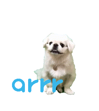 아르르 Sticker by arrr_official for iOS & Android | GIPHY