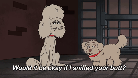 Butt Sniff | Season 1 Ep. 4 | HOUSEBROKEN - GIPHY Clips