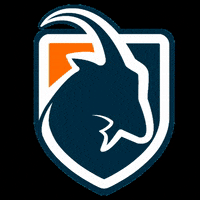 Gif De Mapache Cohete