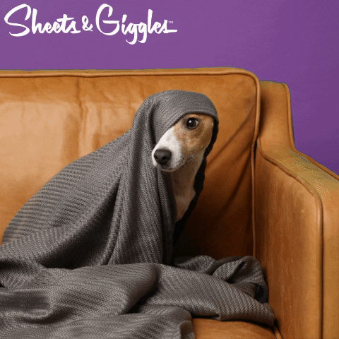 Terrior GIFs - Get the best GIF on GIPHY