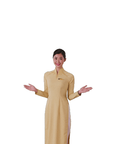 SkyTeam GIFs on GIPHY - Be Animated