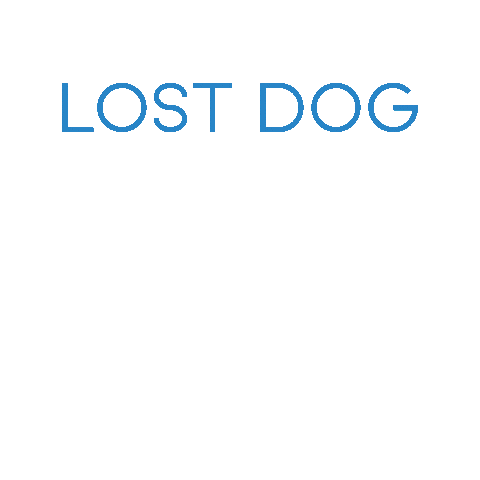 Lost Doge Gif