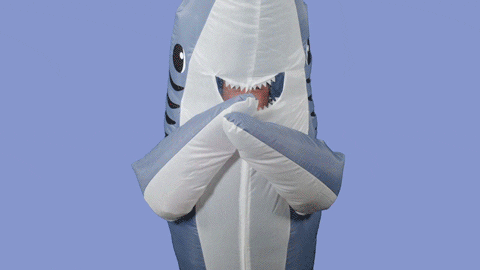 Laser Shark GIFs - Get the best GIF on GIPHY