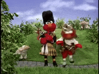 Elmo Dance Gif