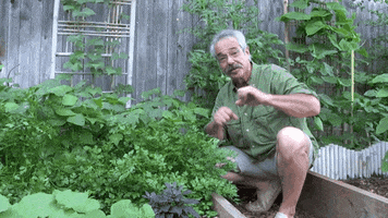 Garden GIFs - Find & Share on GIPHY