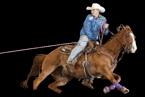 Cowboy Bfi GIF by Bob Feist Invitational - Find & Share on GIPHY