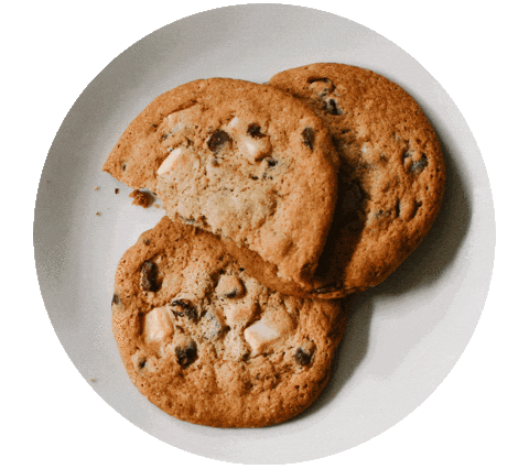 Chocolate Chip Sticker by Veggiesandchocolate for iOS & Android | GIPHY