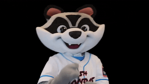 Raccoon Clapping GIFs - Get the best GIF on GIPHY
