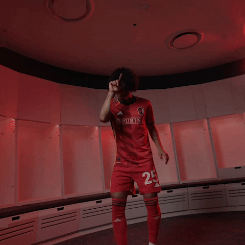 St Louis City Sc GIFs - Find & Share on GIPHY