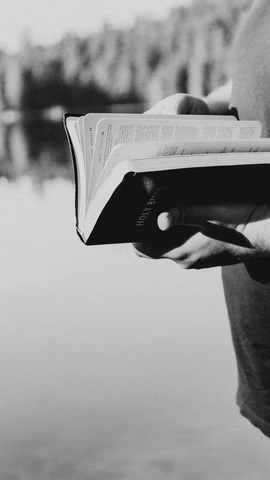 Bible Story GIFs - Find & Share on GIPHY