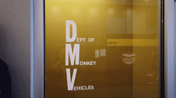 Happy Amazon GIF by Woot! - Find & Share on GIPHY