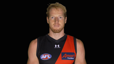 Aussie Rules Sport GIF by Essendon FC - Find & Share on GIPHY