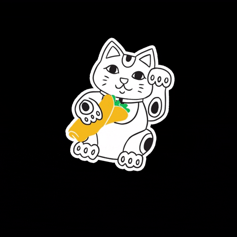 Chinese Cat GIF by Fredley Group of Companies - Find & Share on GIPHY