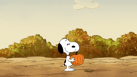 Take Care With Snoopy GIFs - Get the best GIF on GIPHY