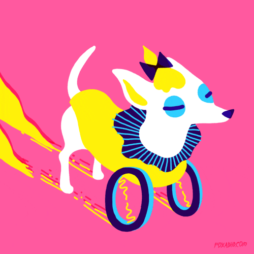 Animation Domination Dog Gif By gif - Find & Share on GIPHY