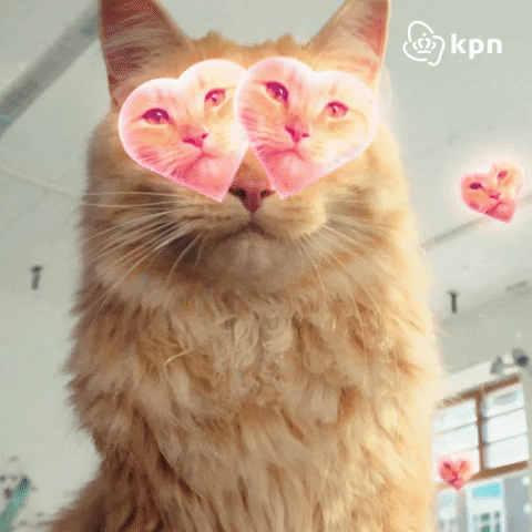 Unlimited GIFs on GIPHY - Be Animated