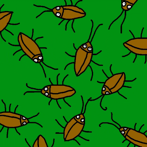 Bugs GIF - Find & Share on GIPHY