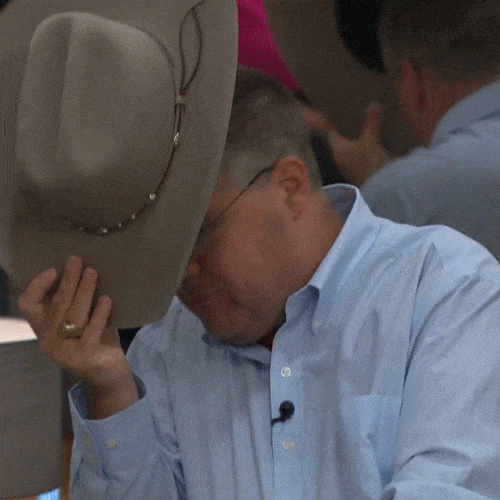 Hat Gentleman GIF by Big Brother - Find & Share on GIPHY