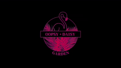 Oopsy GIF by CHESS TAIPEI - Find & Share on GIPHY