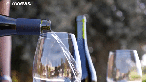 Wine GIF by euronews - Find & Share on GIPHY