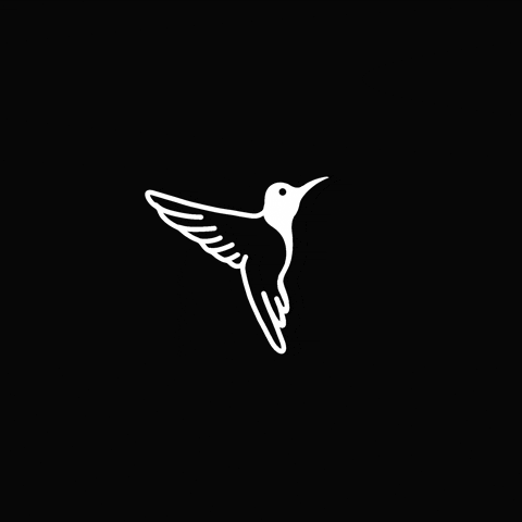 Floating Bird GIFs - Get the best GIF on GIPHY