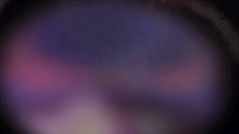 Wired Productions GIFs on GIPHY - Be Animated