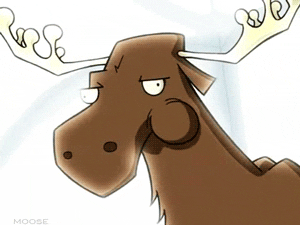The Internet In One Gif Moose