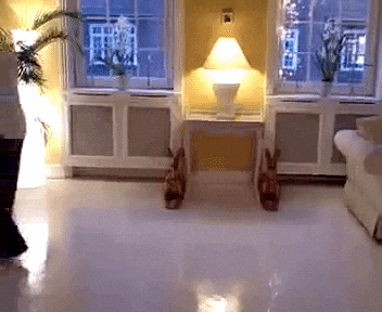 Walking Backwards GIFs - Get the best GIF on GIPHY