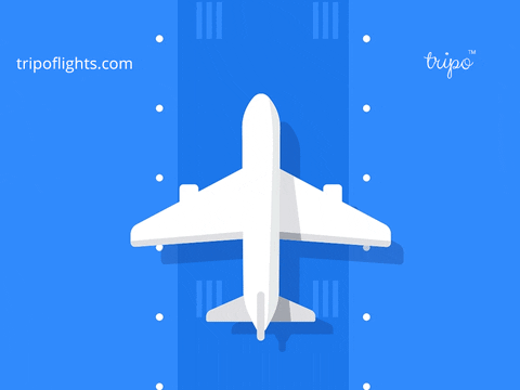 Fly Flights GIF by tripo - Find & Share on GIPHY