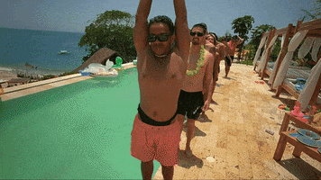 De Férias Com o Ex Caribe: Salseiro VIP GIFs on GIPHY - Be Animated