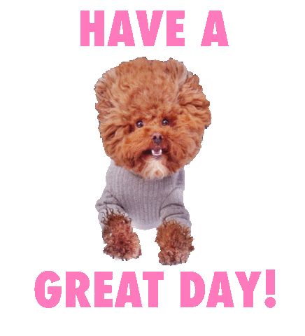 Hello This Is Dog Gif