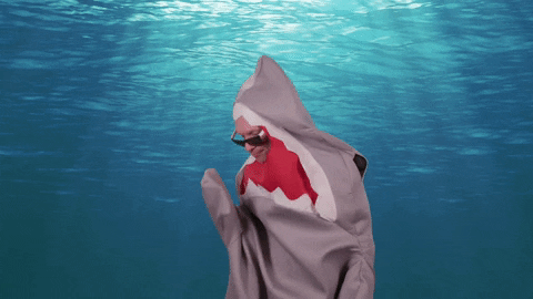 Oh Yeah Yes GIF by Shark Week - Find & Share on GIPHY