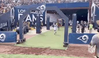15 Action-Packed NFL Sunday GIFs! by Sports GIFs | GIPHY