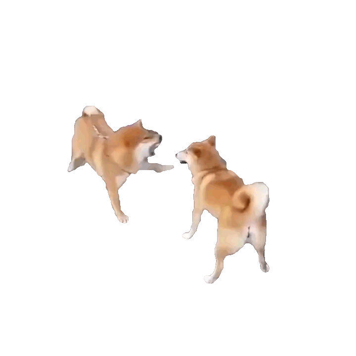 Shiba Inu Fight Sticker for iOS & Android | GIPHY