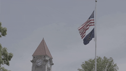 Indian University GIFs - Get the best GIF on GIPHY