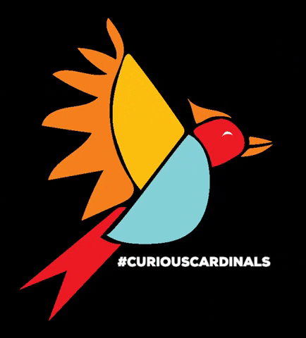 Curious Cardinals GIFs on GIPHY - Be Animated