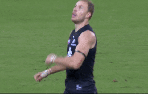 Carlton Blues Afl GIF by Carlton Football Club - Find & Share on GIPHY