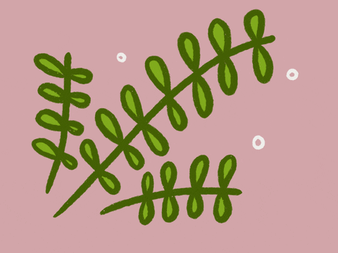 Magic Leaves GIFs - Get the best GIF on GIPHY