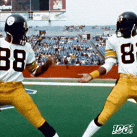 Immaculate Reception Gif