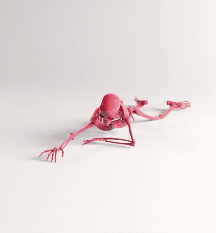 Surviving GIFs - Get the best GIF on GIPHY