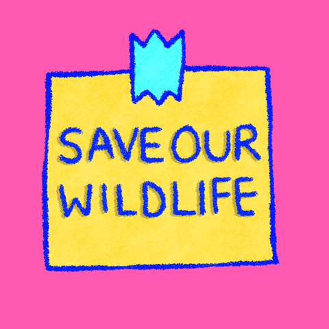 Wildlife Conservation Earth GIF by Katharine Kow - Find & Share on GIPHY