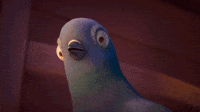 Bird Shocked Gif