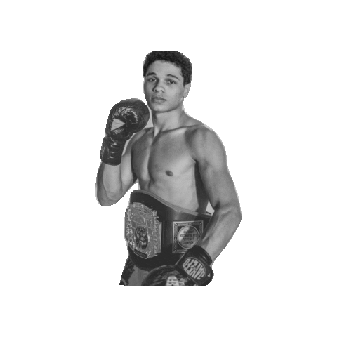 PE Training Center GIFs on GIPHY - Be Animated