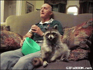 Pouch-couch GIFs - Get the best GIF on GIPHY