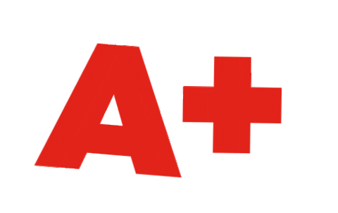 Celebrate A Plus Sticker by Fanshawe College for iOS & Android | GIPHY