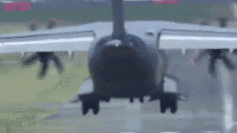 Safran GIF - Find & Share on GIPHY