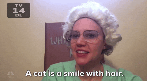 A-cat-is-a-smile-with-hair GIFs - Get the best GIF on GIPHY
