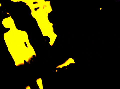 Very Bad Trip 2 GIFs - Get the best GIF on GIPHY