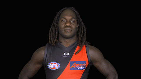 Aussie Rules Sport GIF by Essendon FC - Find & Share on GIPHY