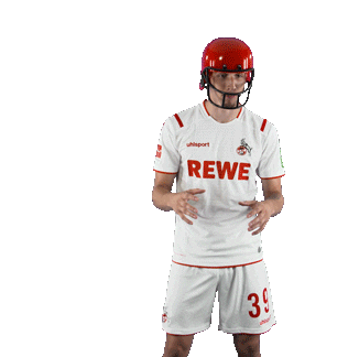 Fc Cologne Bundesliga Sticker by 1. FC Köln for iOS & Android | GIPHY